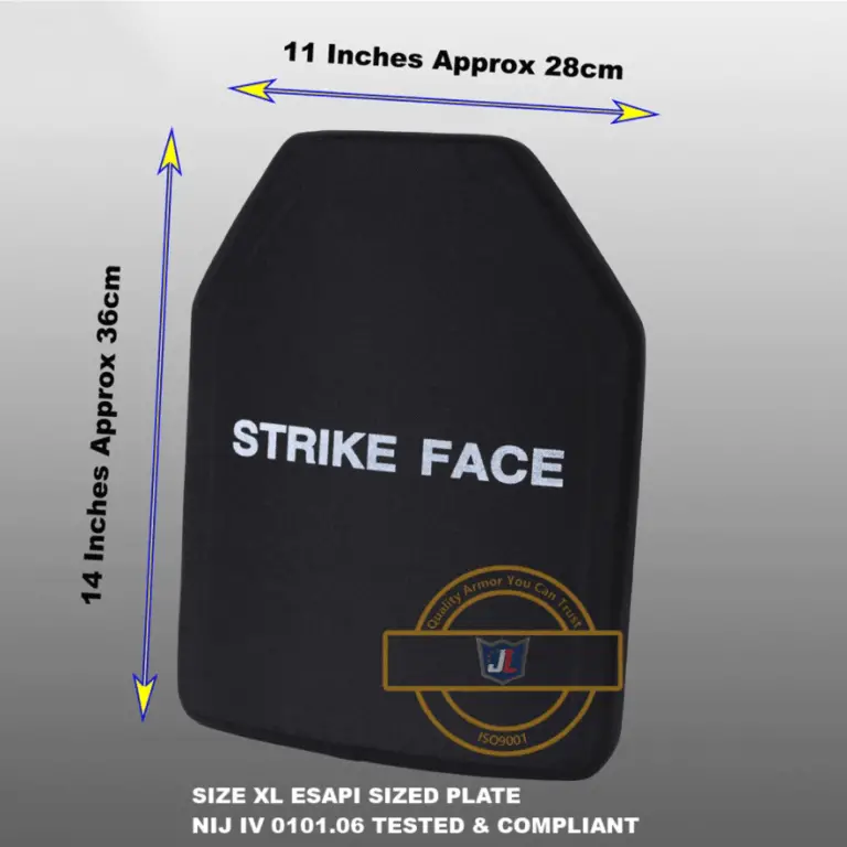 ESAPI Vs. SAPI: What Is the Difference Between Them?
